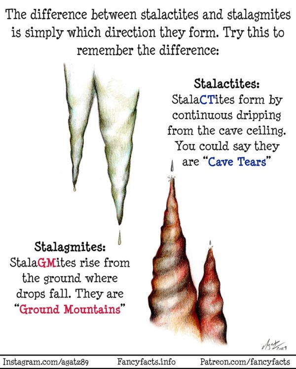 Stalactites vs stalagmites | FancyFacts